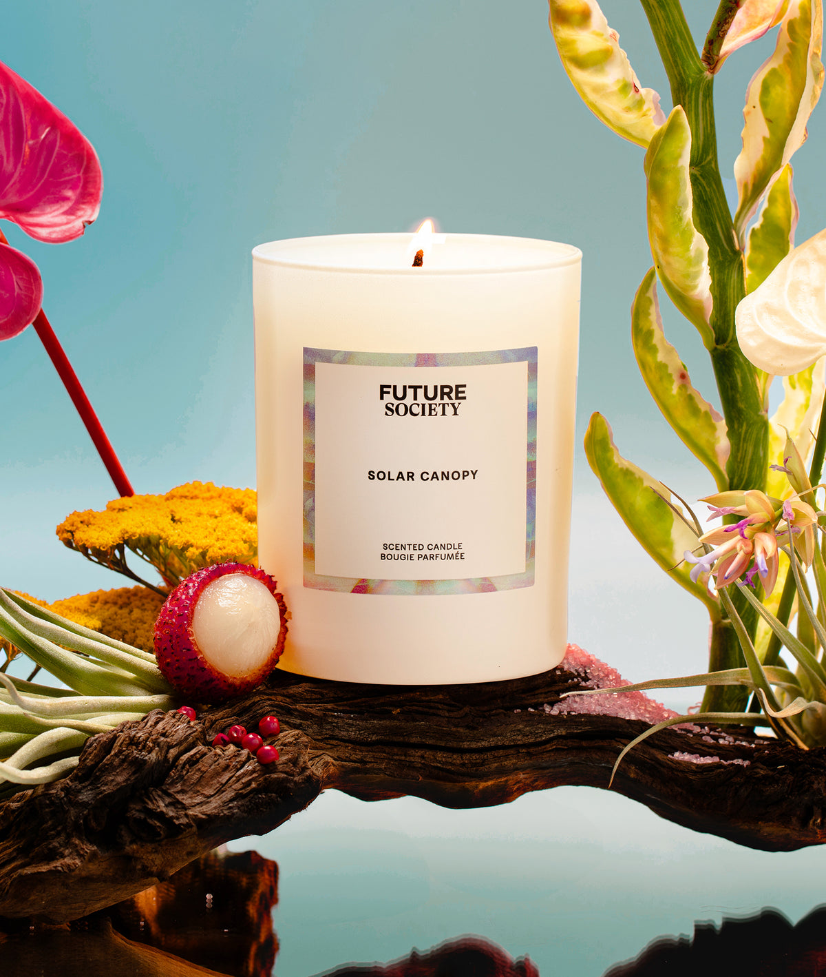 Scent Surrection Candle Collection – Future Society