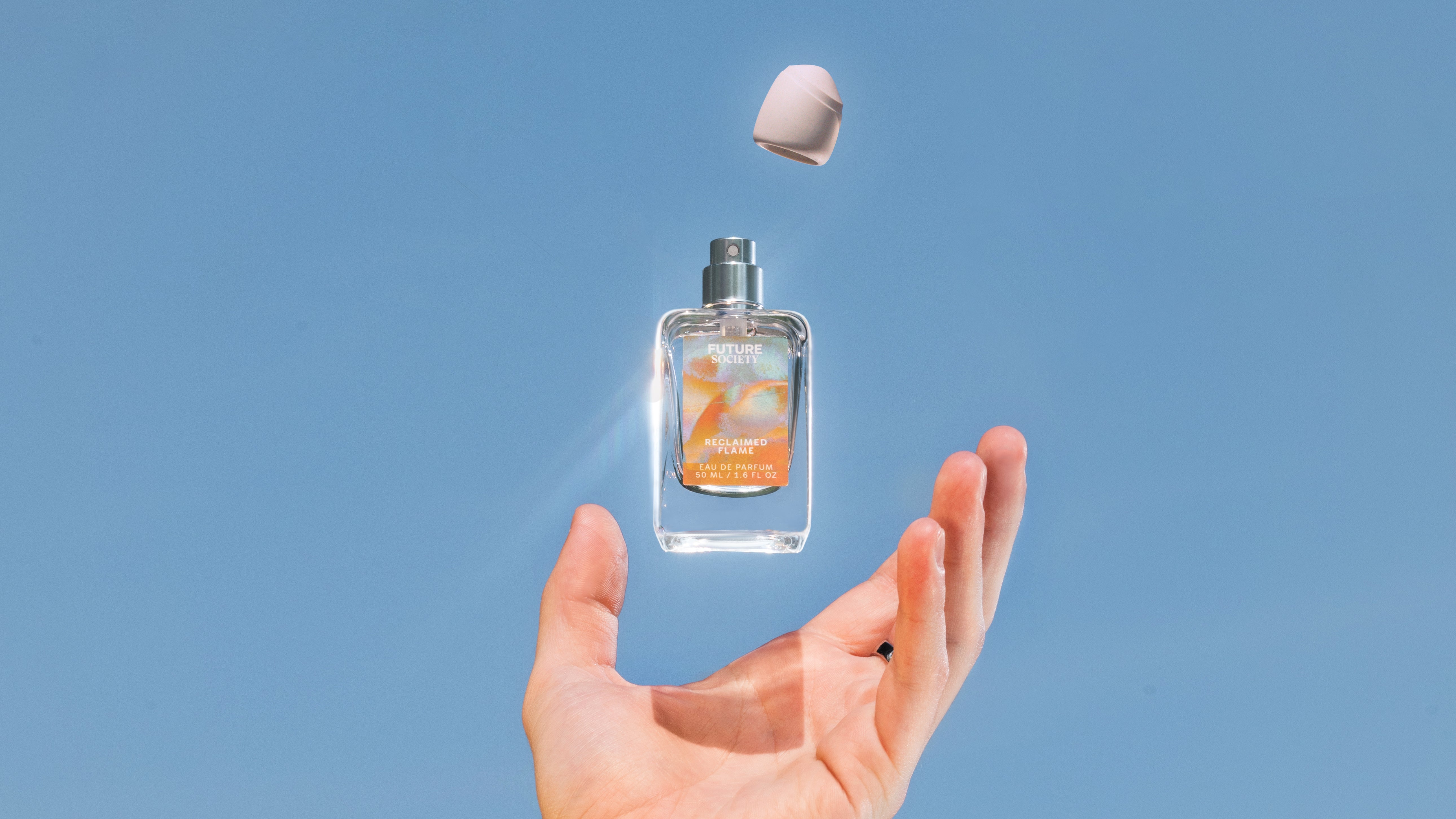 Reclaimed Flame Perfume | Breathing Life into the Extinct Leucadendron ...